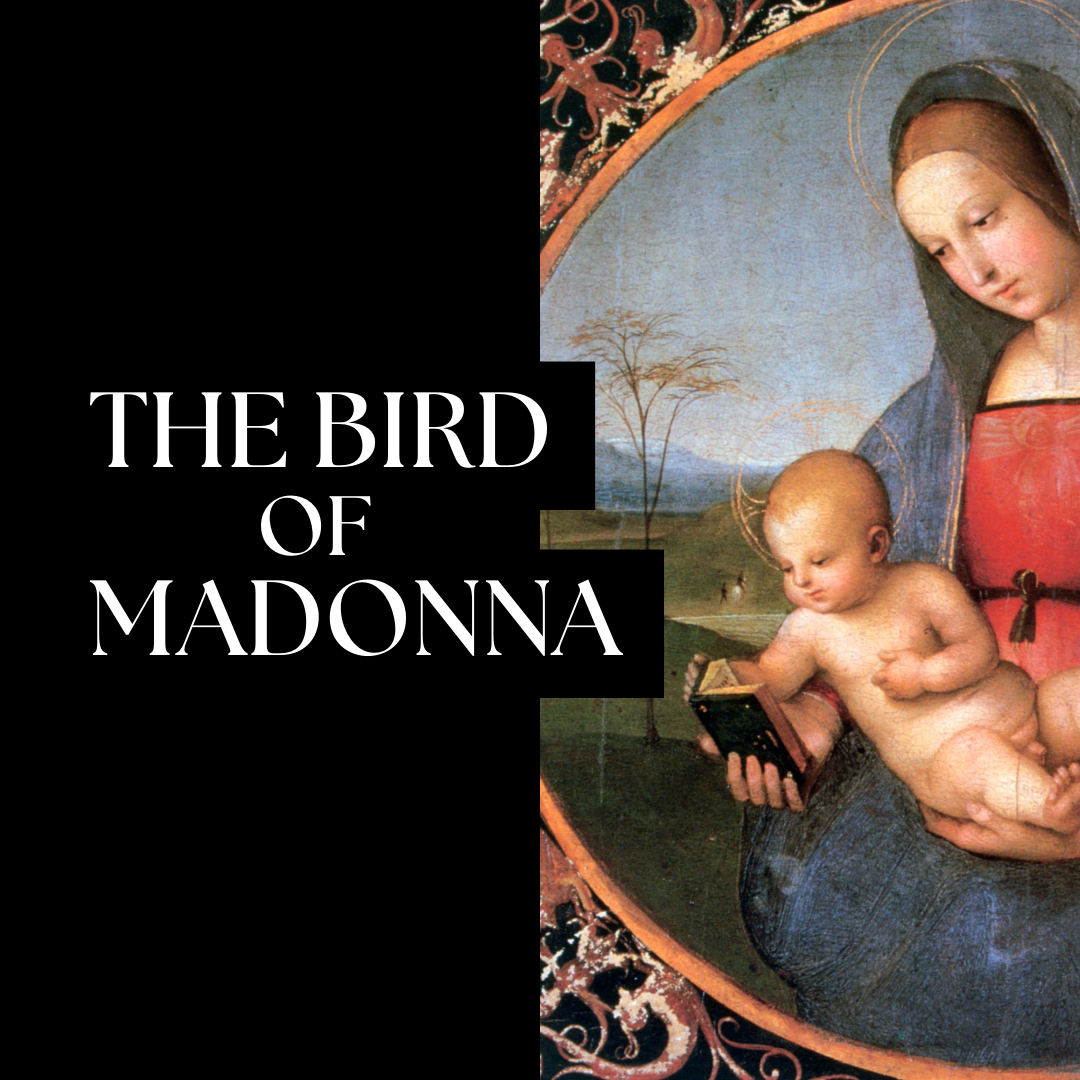 The Bird of Madonna